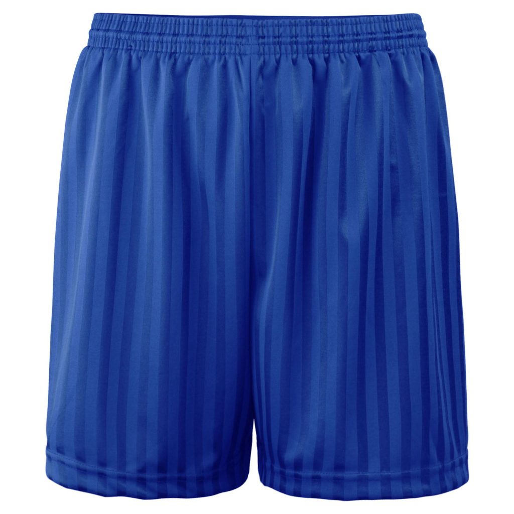 Dark Royal Shadow Stripe Shorts | Smiths Schoolwear